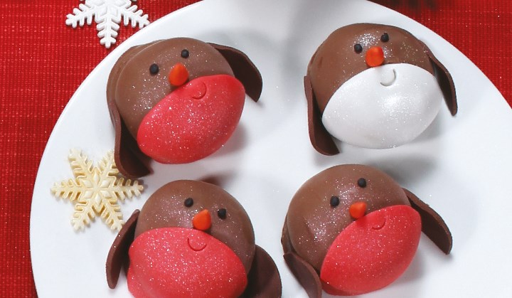 How to Guides | Craft Company