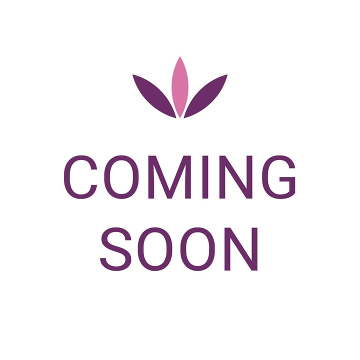 Wilton Piping 4B Open Star | Craft Company